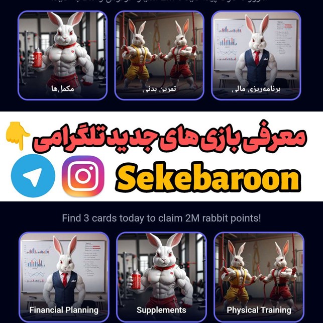 کارت های بازی راکی رابیت خرگوش امروز 6 مرداد 1403 قاب فردا